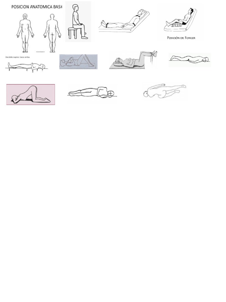 Posiciones Anatomicas | PDF
