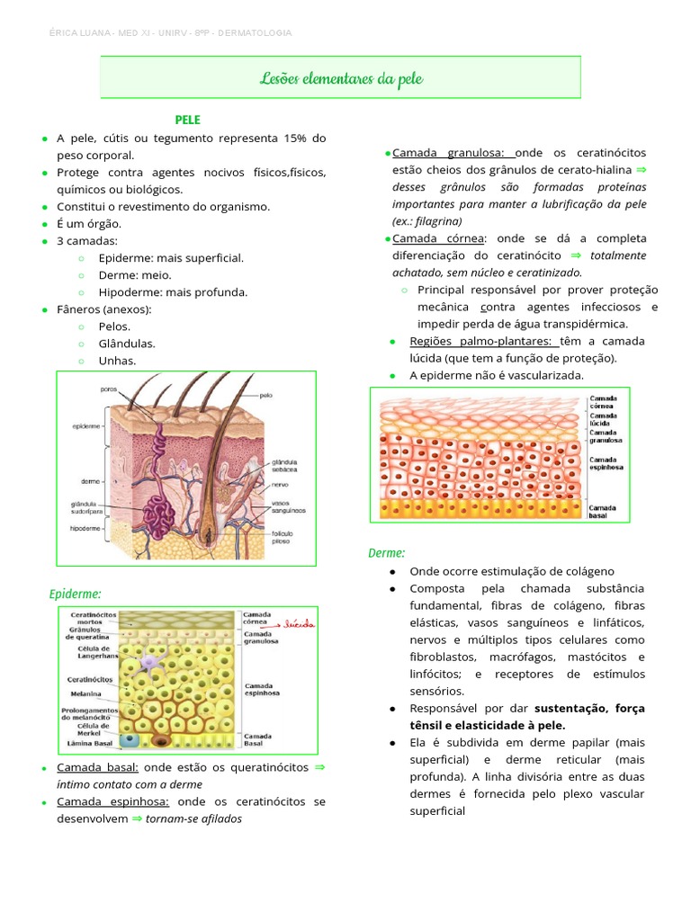 Lesões Elementares Da Pele | PDF | Pele | Anatomia