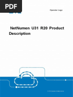 02 NetNumen U31 Software Installation - 54P | PDF | Operating System | Microsoft Windows