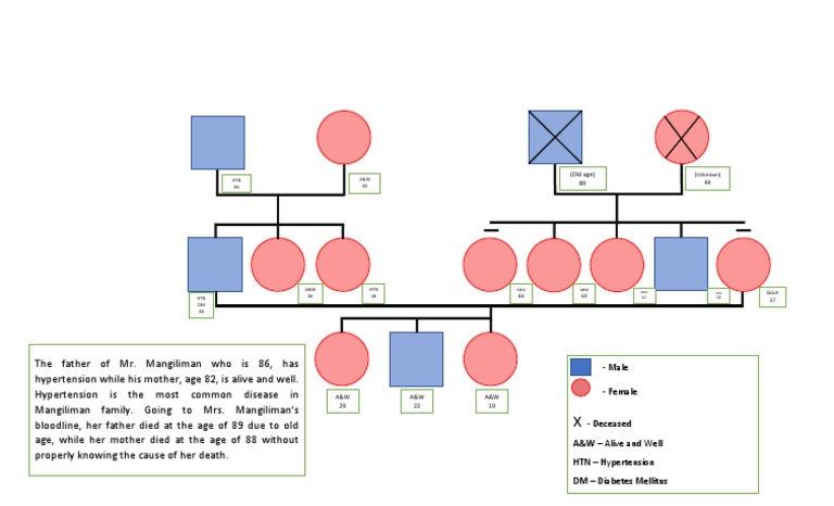 Genogram | PDF
