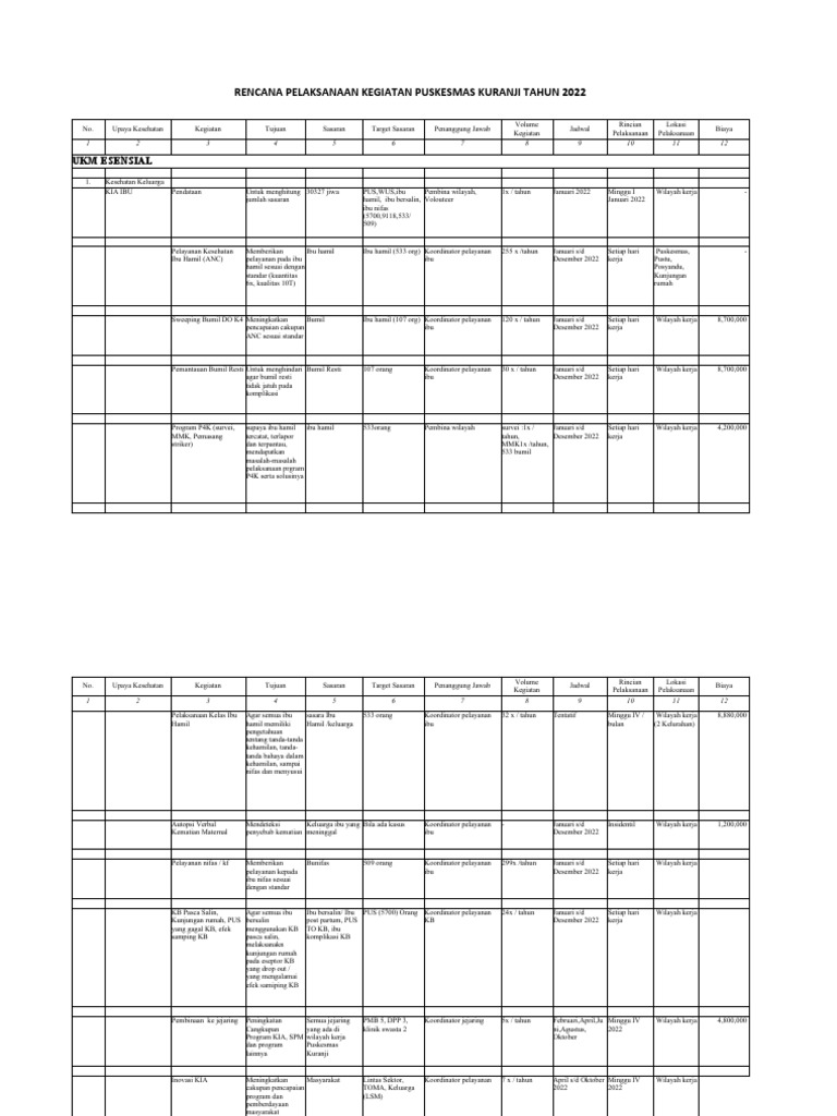 RPK 2023 RPK 2024 Program PTM | PDF
