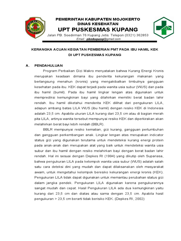 Kak Pemberian PMT Bumil Kek | PDF