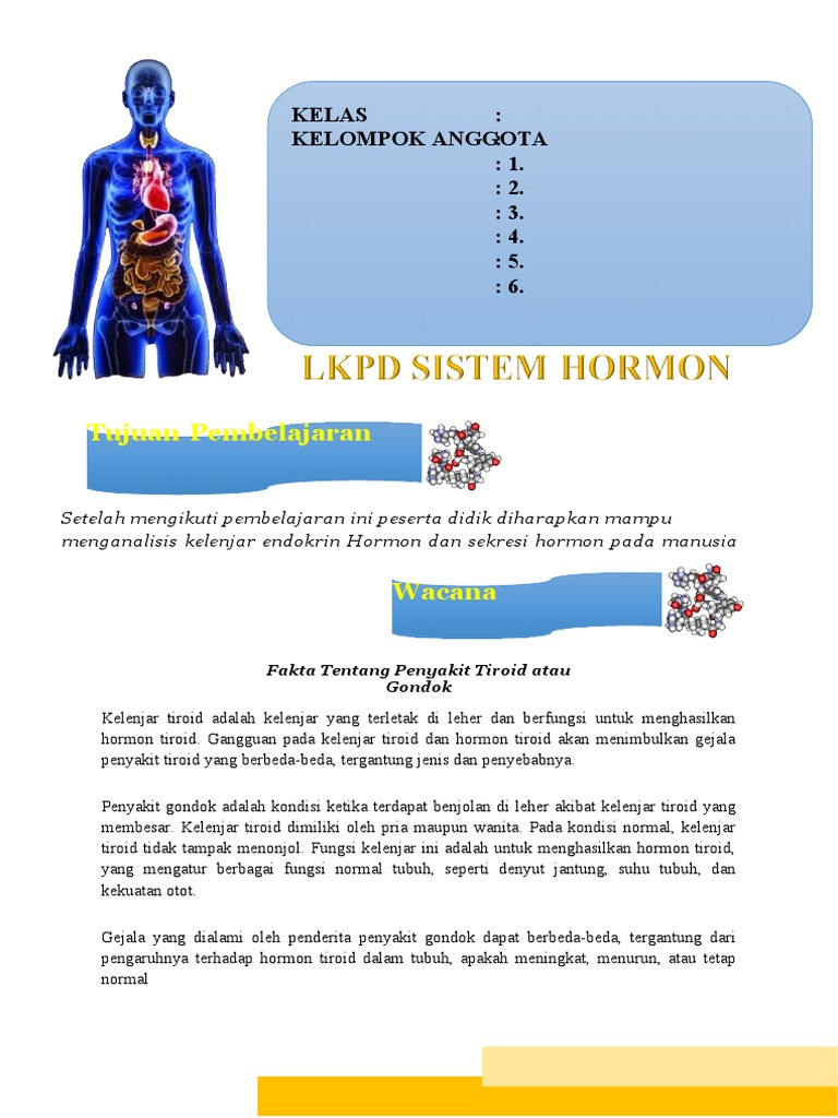 LKPD SISTEM Hormon | PDF