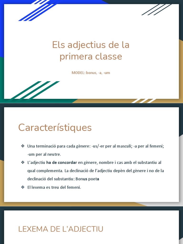 Els Adjectius de La Primera Classe | PDF