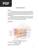Pemeriksaan Efloresensi Kulit | PDF