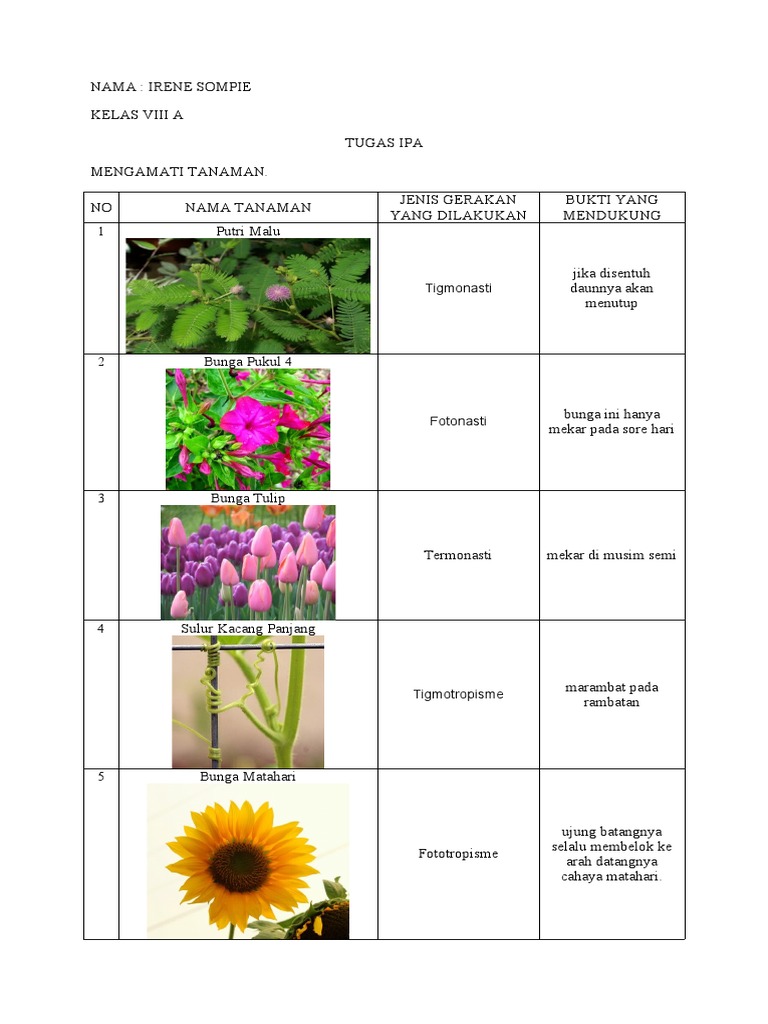 10 Jenis Tanaman | PDF