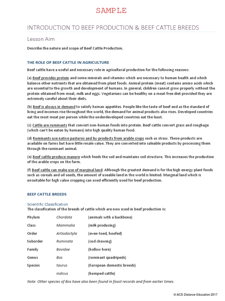 Beef Cattle SAMPLE | PDF | Cattle | Agriculture