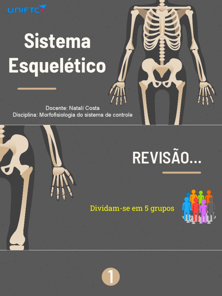 Sistema Esquelético Pdf Osso Esqueleto