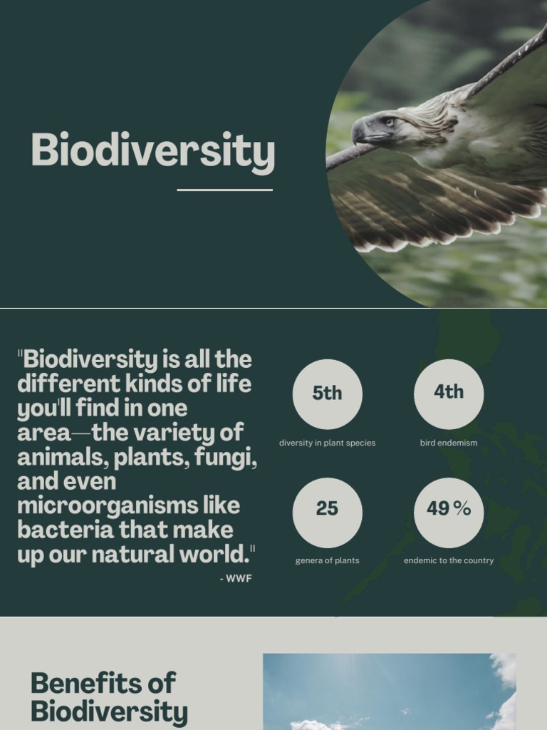 Biodiversity Pdf Biodiversity Habitat Destruction