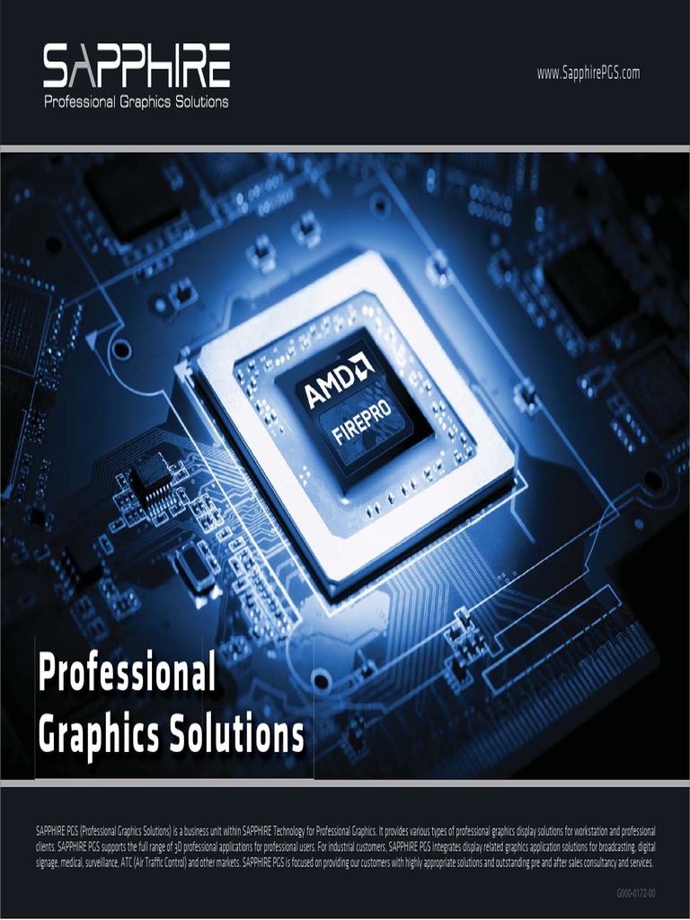 Professional Graphics Solutions | PDF | Graphics Processing Unit | Desktop Virtualization