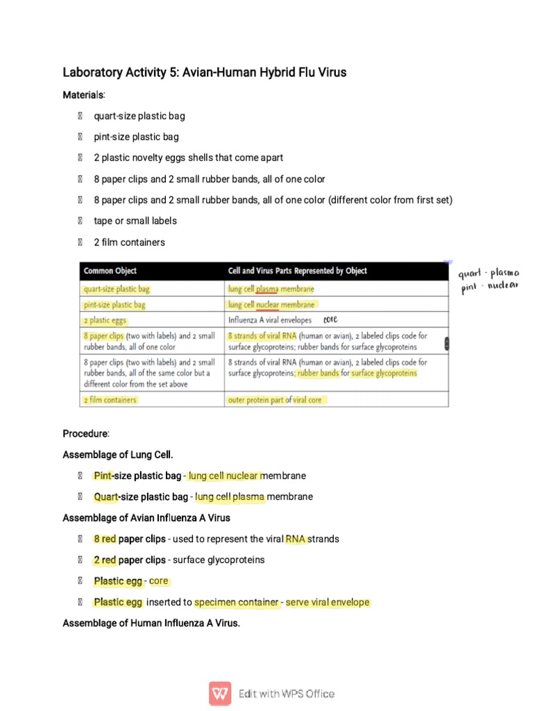 Virology Laboratory Reviewer | PDF | Antibody | Influenza