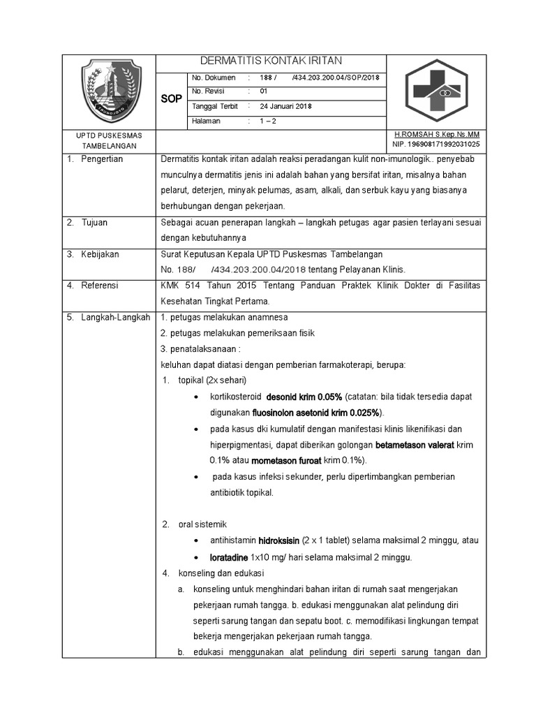 DERMATITIS KONTAK IRITAN | PDF