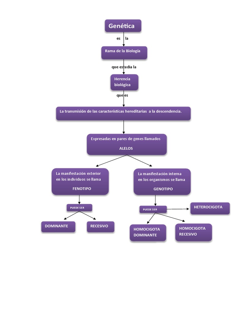 Mapa Conceptual de Genetica | PDF