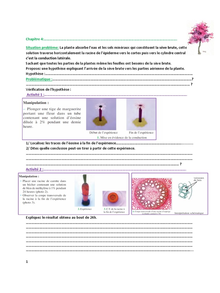 Conduction Verticale | PDF