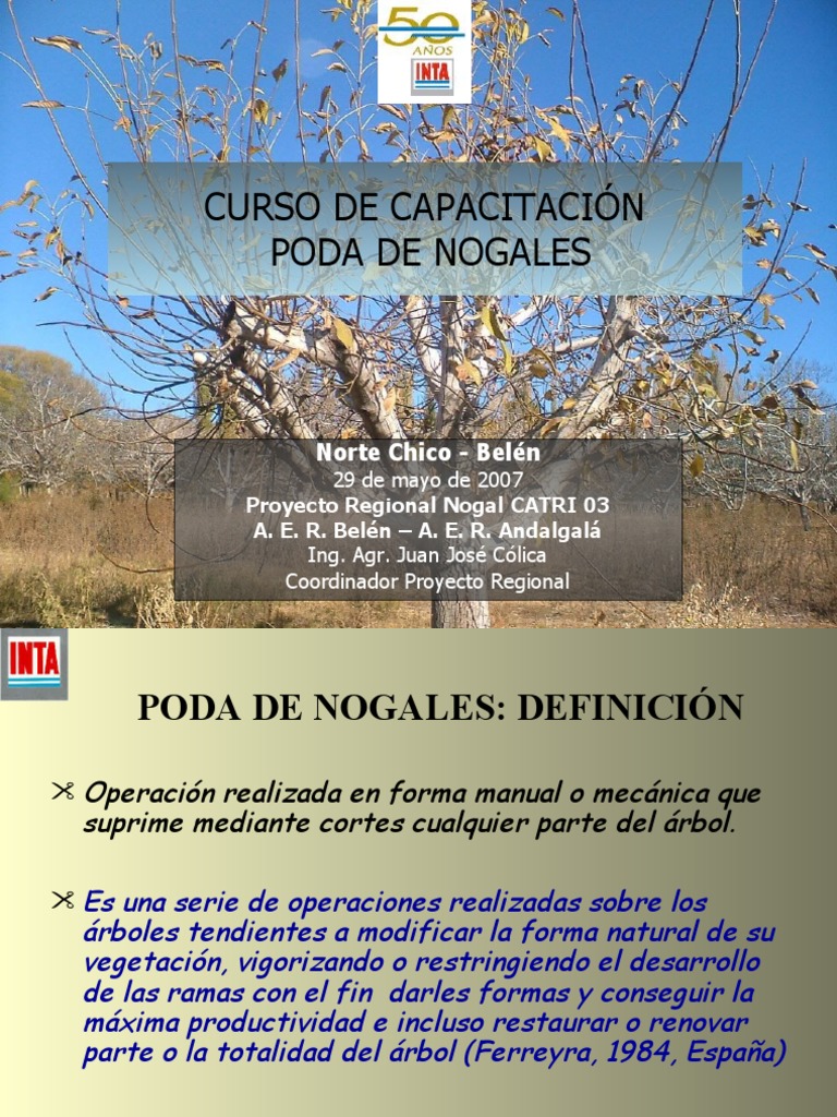 Curso de Poda Nogales Norte Chico - Belén - 29 de Mayo 2007 | PDF | Agricultura