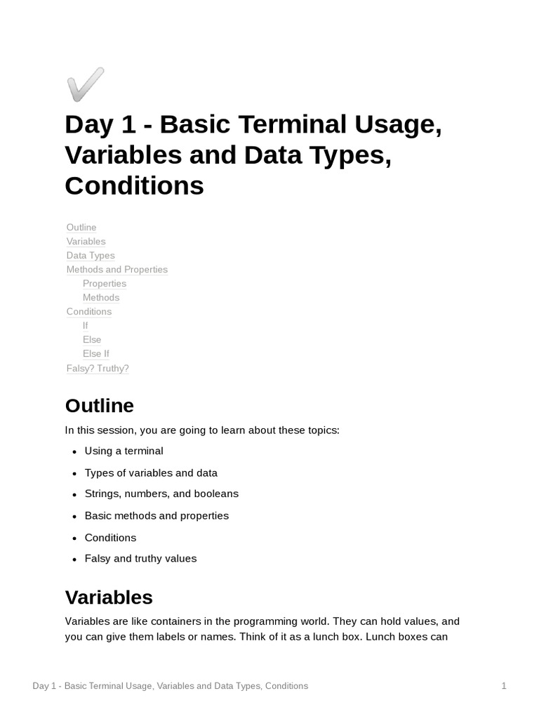 Programming Basics Variables Data Types Pdf Boolean Data Type Information Technology