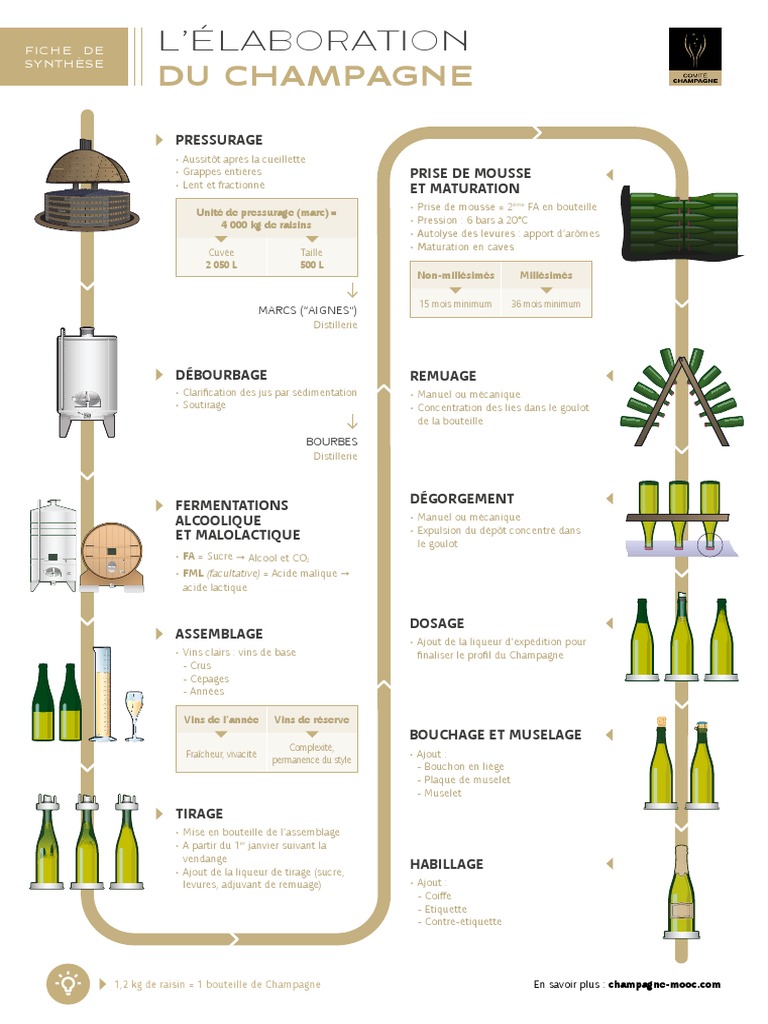 Elaboration Du Champagne | PDF | Champagne | Vins
