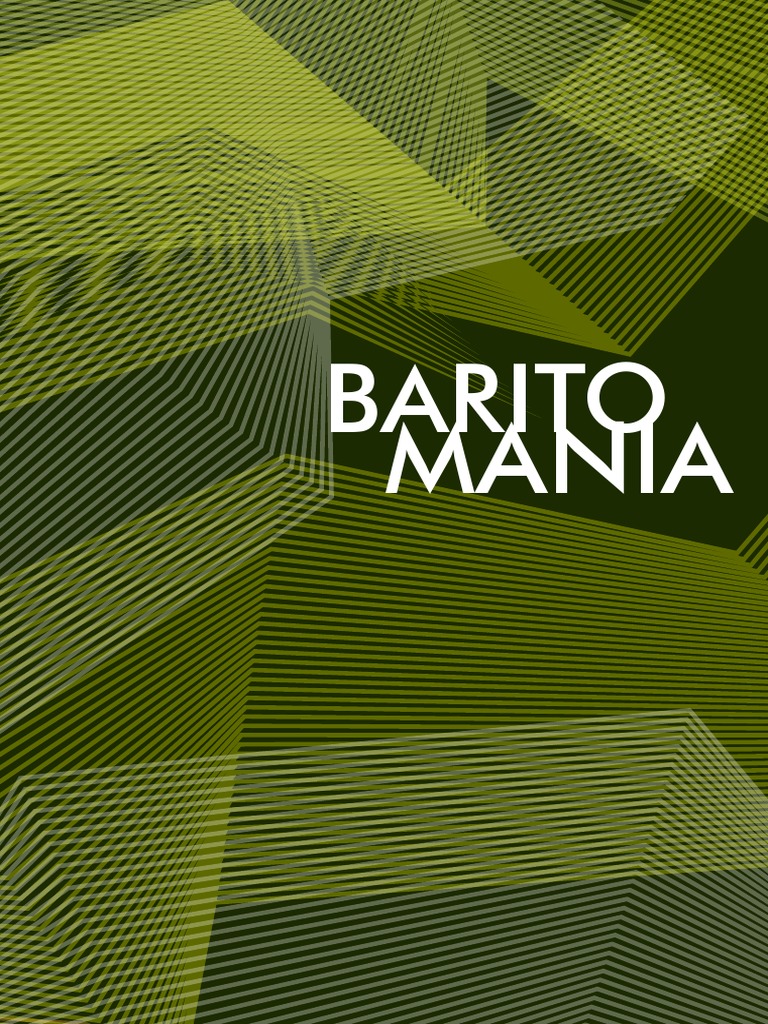 Company Profile Bartman | PDF