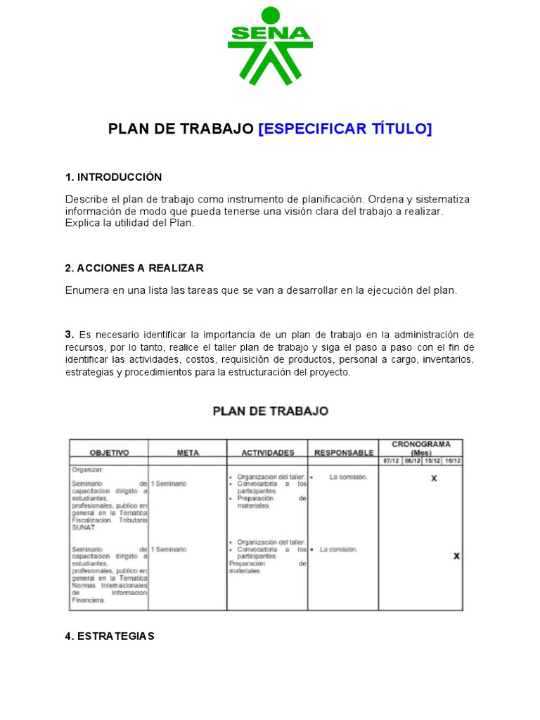 Ejemplo de Plan de Trabajo Estructurado | PDF | Finanzas y dinero