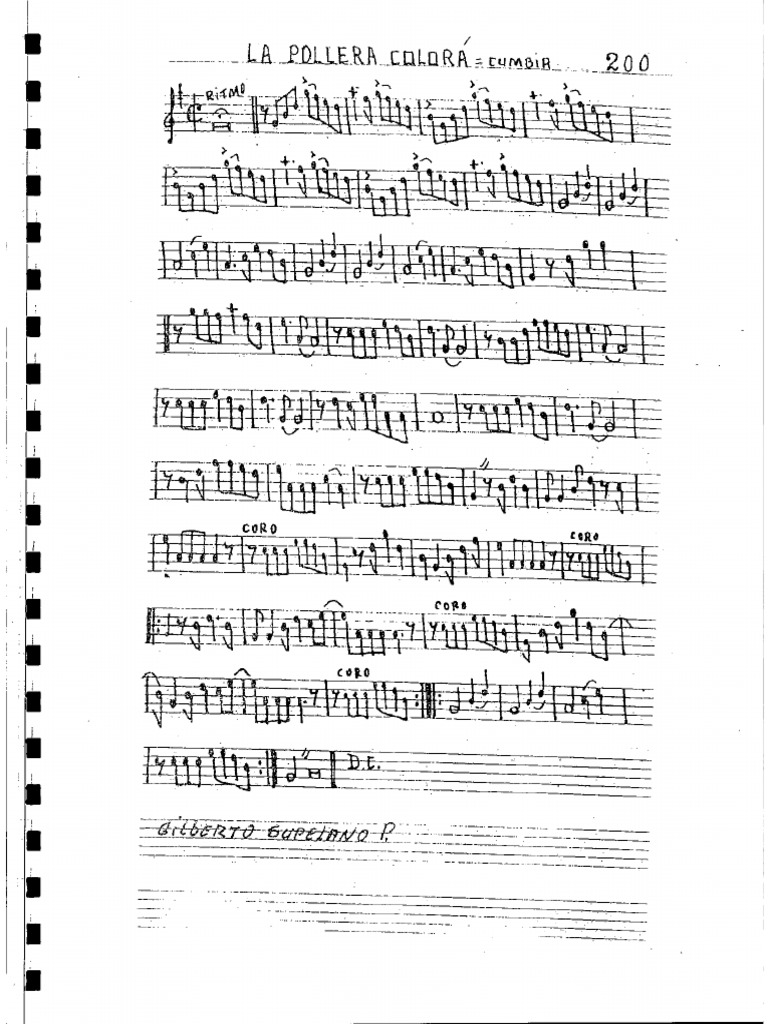 La Pollera Colora | PDF