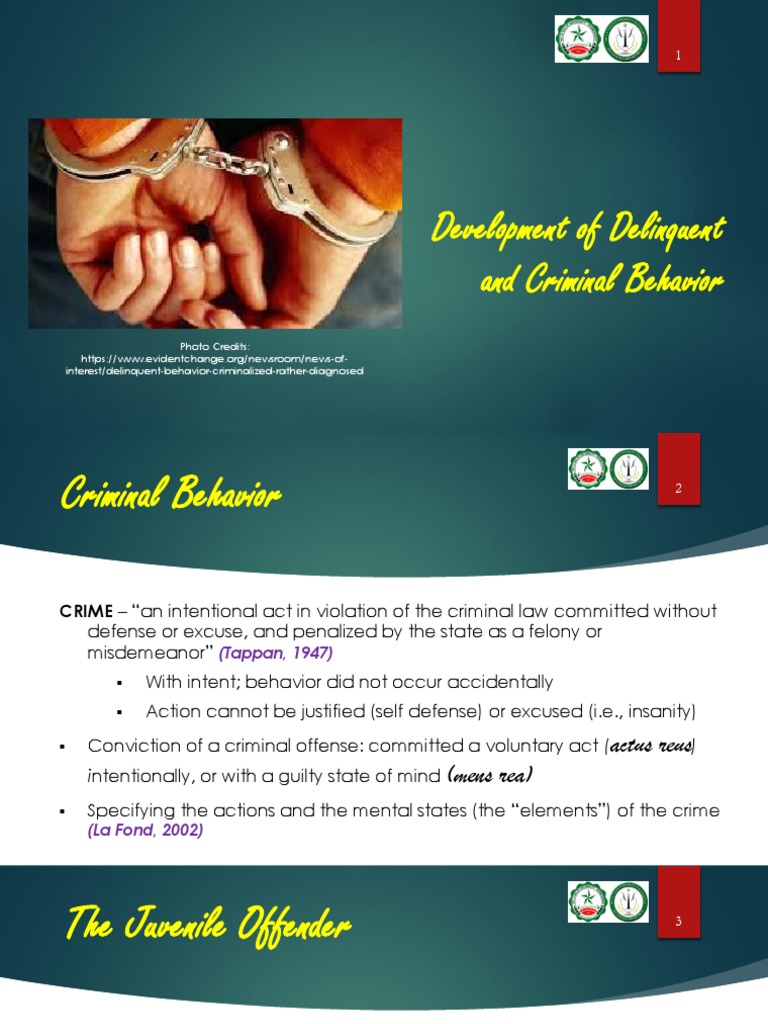 Juvenile Delinquency and Criminal Behavior | PDF | Juvenile Delinquency ...