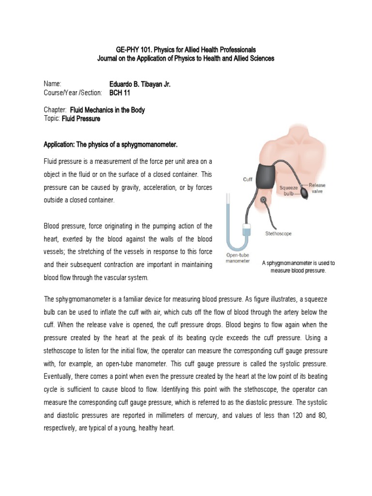 Sample Journal | PDF