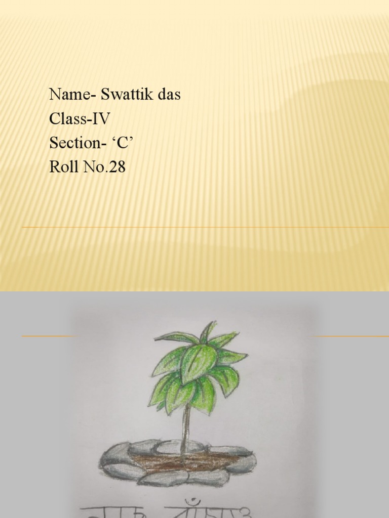 Bengali Project | PDF