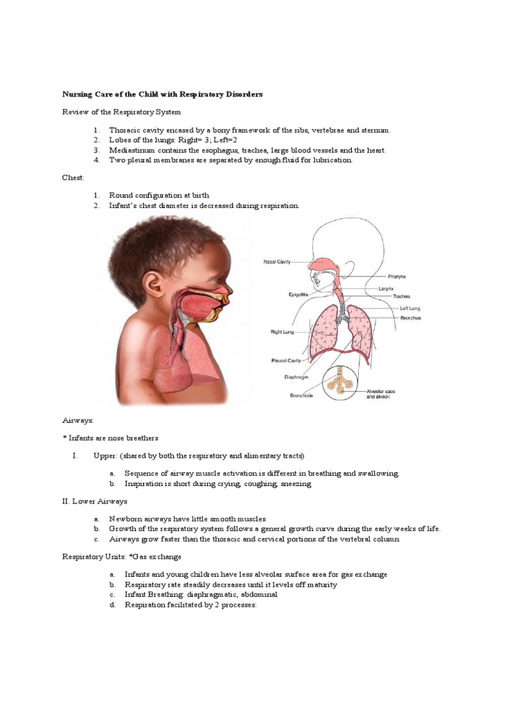 Comprehensive Guide to Respiratory Disorders in Children | PDF | Heart ...