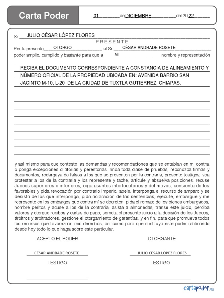 Carta Poder 1 | PDF
