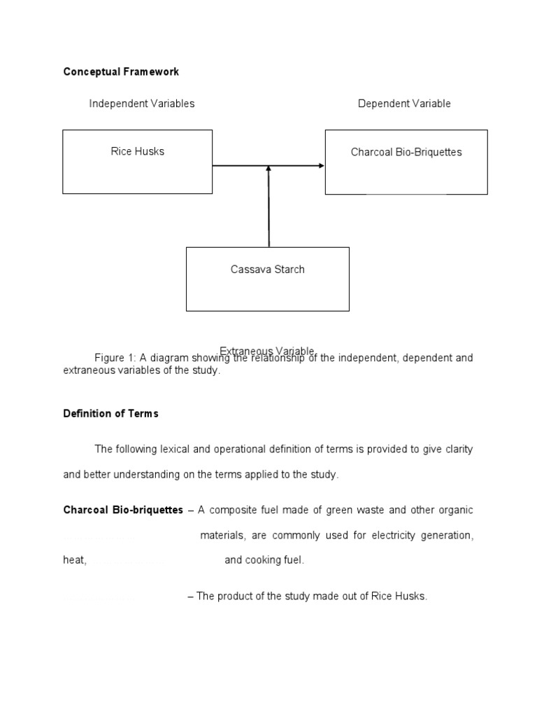 Conceptual Framework & Definition of Terms | PDF