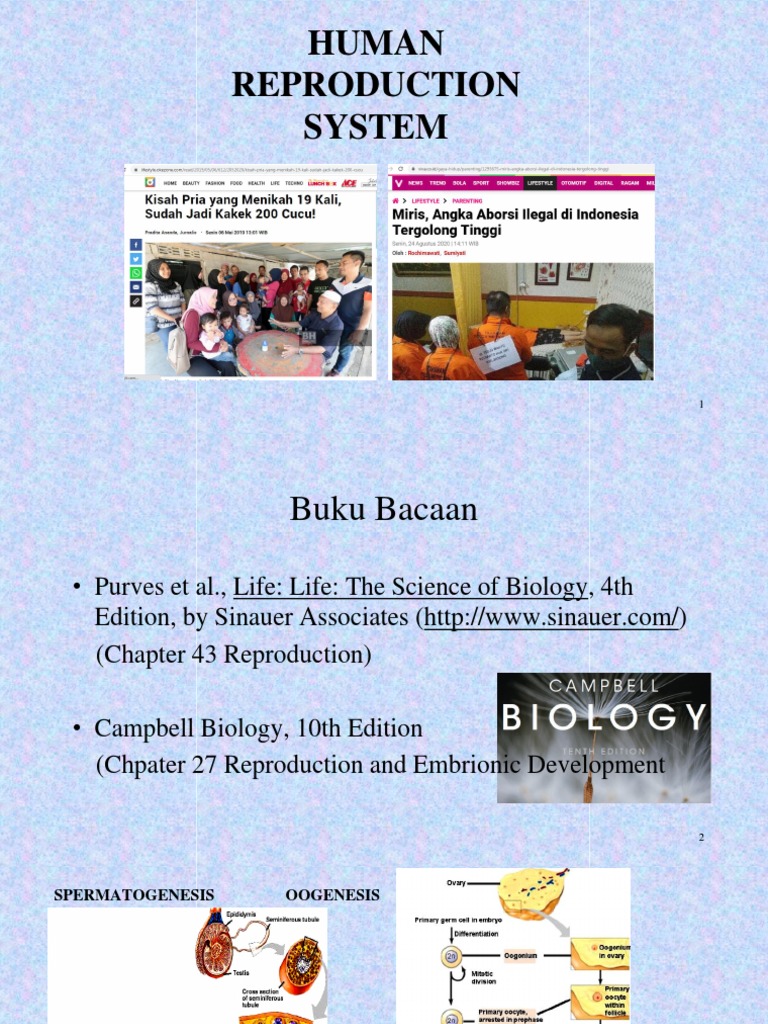 Human Reproduction | PDF