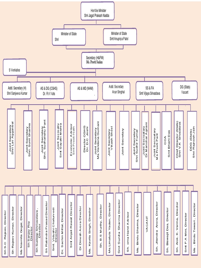 Organization Chart | PDF