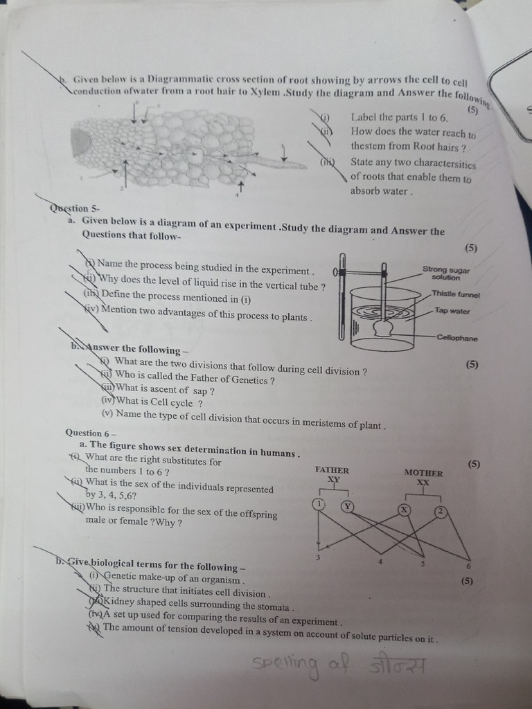 Question Papers İİ | PDF | Sports Rules And Regulations | Sports