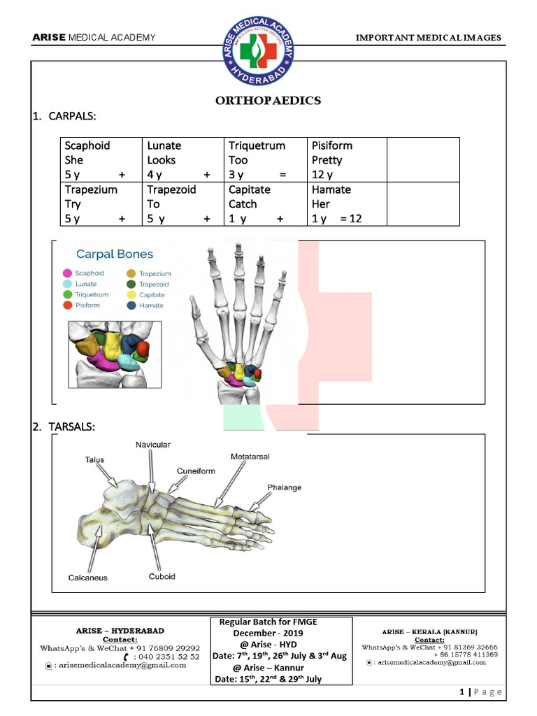 Orthopedics Images Based Questions | PDF | Anatomical Terms Of Motion ...