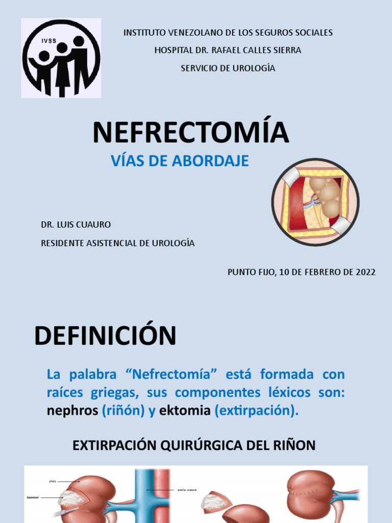 NEFRECTOMÍA | PDF