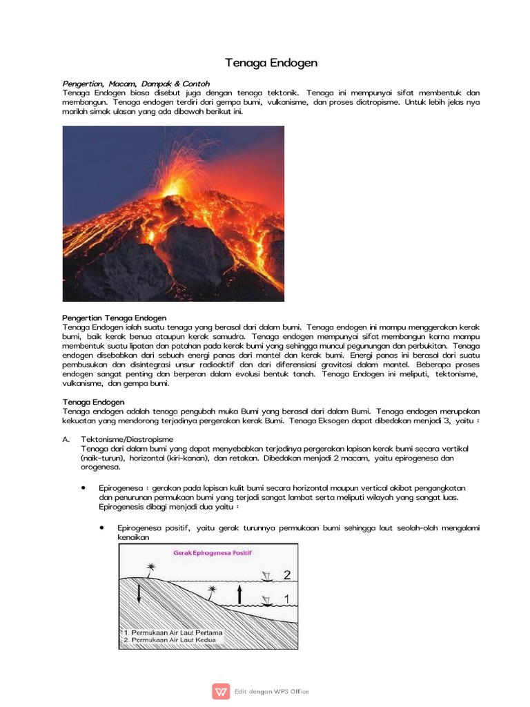 Tenaga Endogen: Pengertian dan Proses | PDF