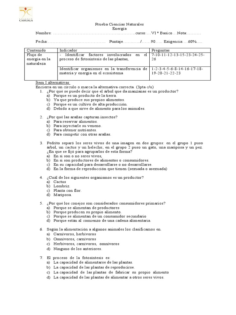 Prueba 6° Transferencia de Energia en El Universo | PDF | Plantas ...