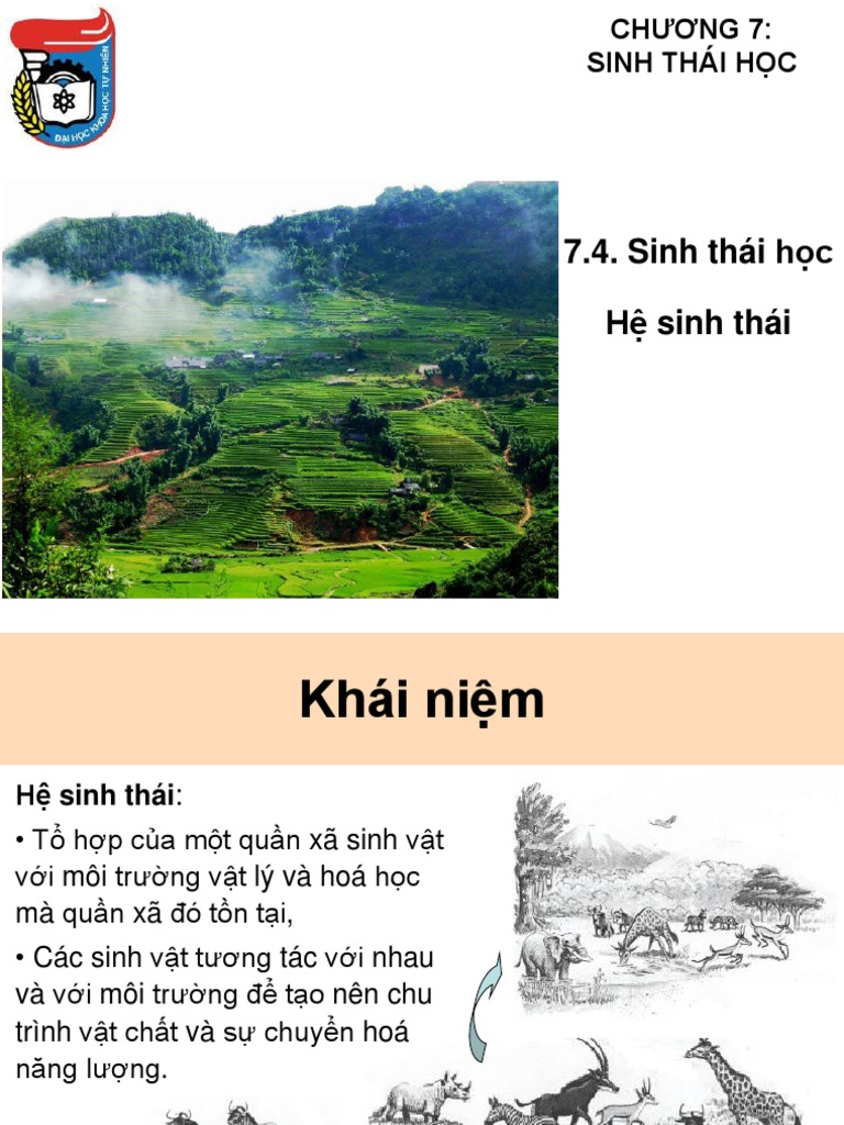 Sinh Thai Hoc He Sinh Thai (KNTH) | PDF