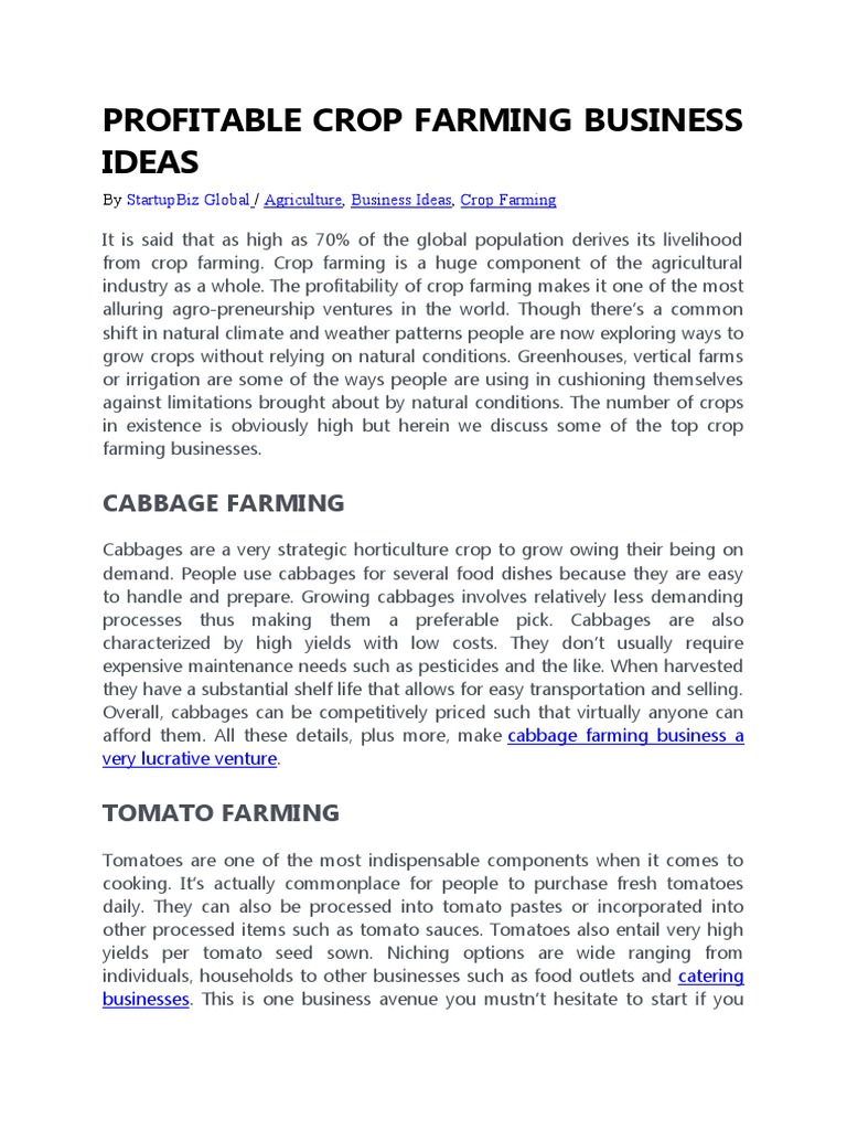 Profitable Crop Farming Business Ideas | PDF | Maize | Agriculture