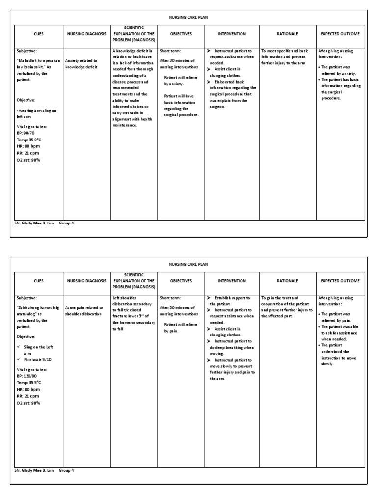 Nursing Care Plan | Download Free PDF | Nursing | Causes Of Death