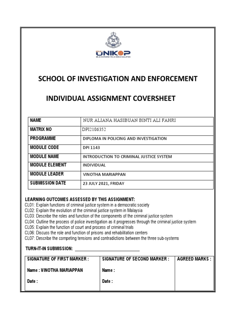 Dpi2106352 1b Nur Aliana Assignment Dpi 1143 | PDF | Crime & Violence ...