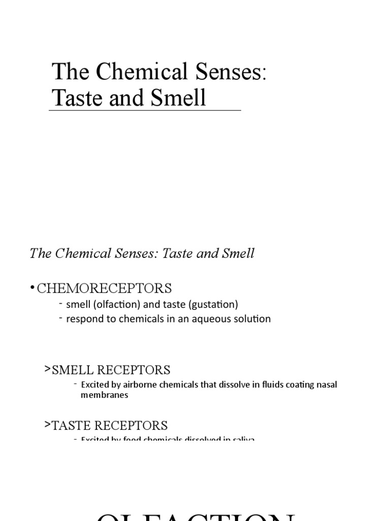 The Chemical Senses - Taste and Smell | PDF | Taste | Senses