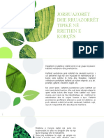 Biologji Riprodhimi Te Shtazët L.H | PDF