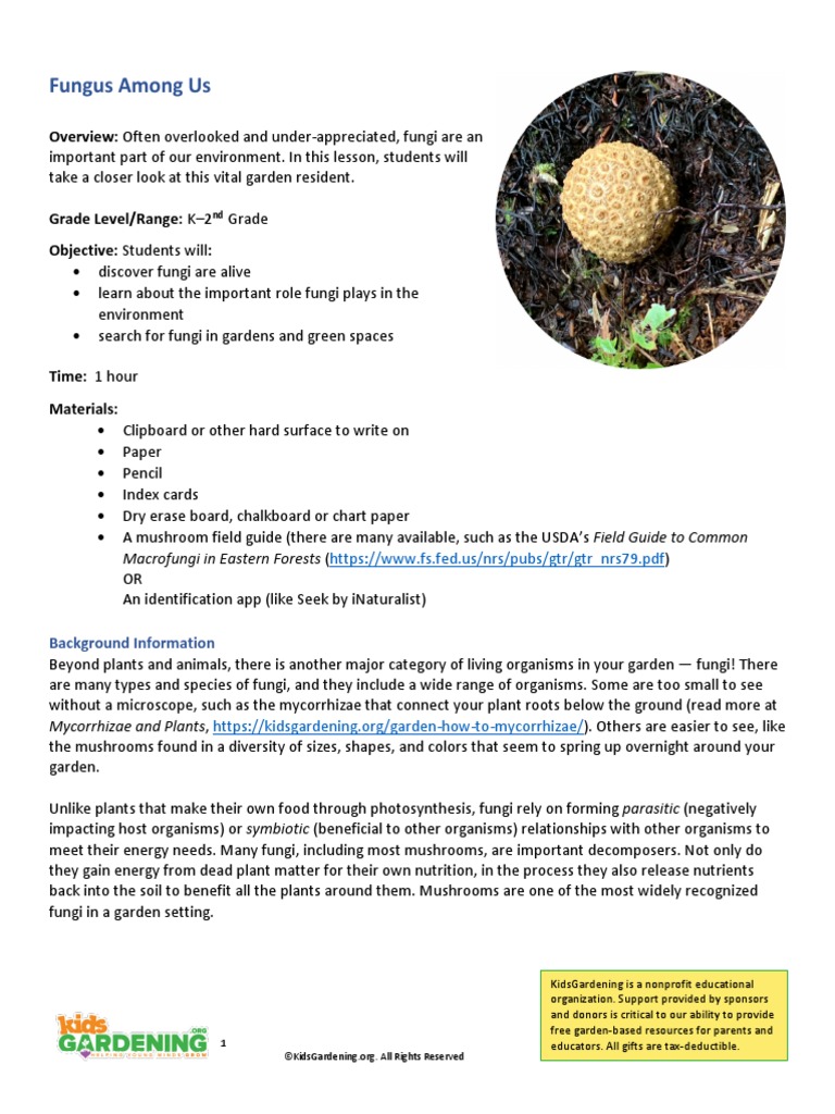 Fungus Among Us Lesson | PDF | Fungus | Plants