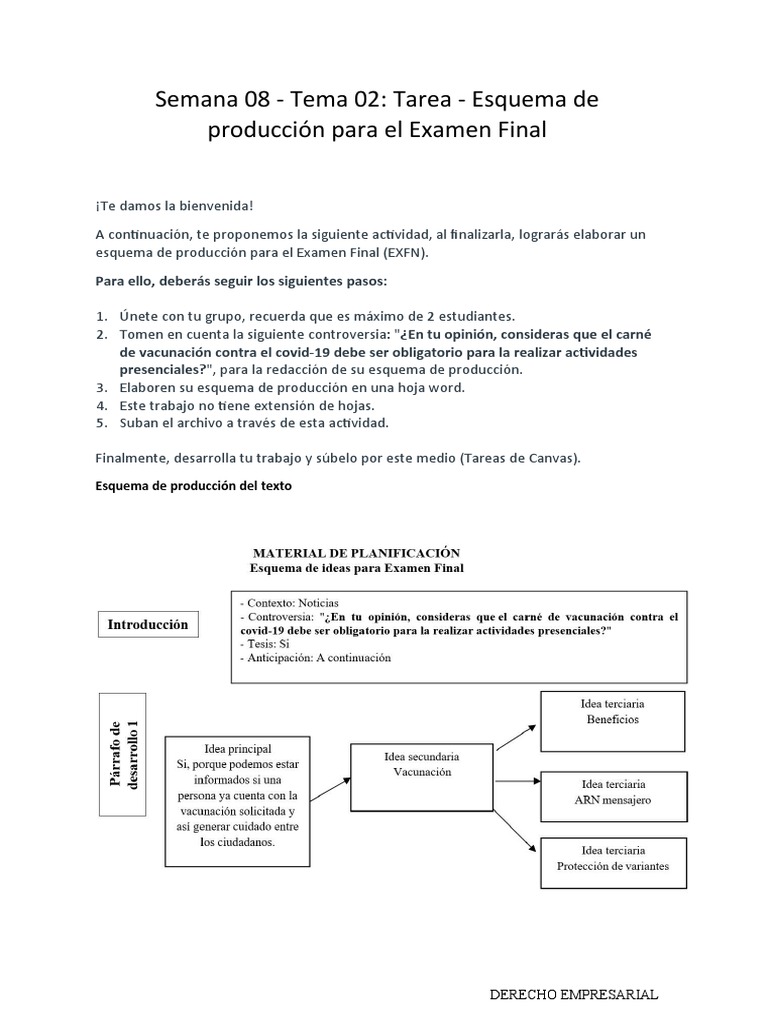 Tarea Esquema Redaccion | PDF