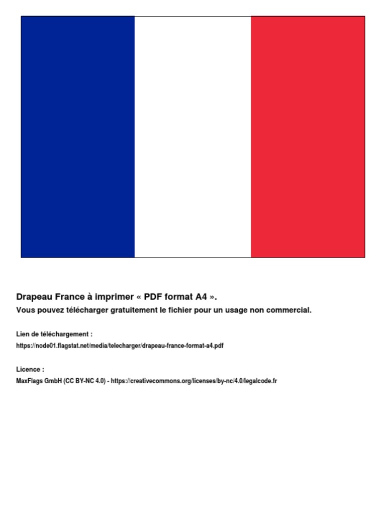 Drapeau France Format A4 | PDF | Affaires