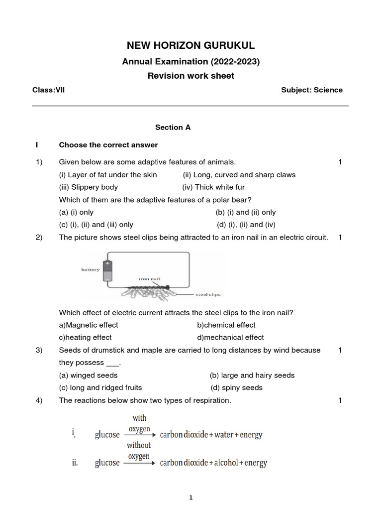 Revision Work Sheet 2023-THIRD LANGUAGE-HINDI | PDF | Flowers | Urine
