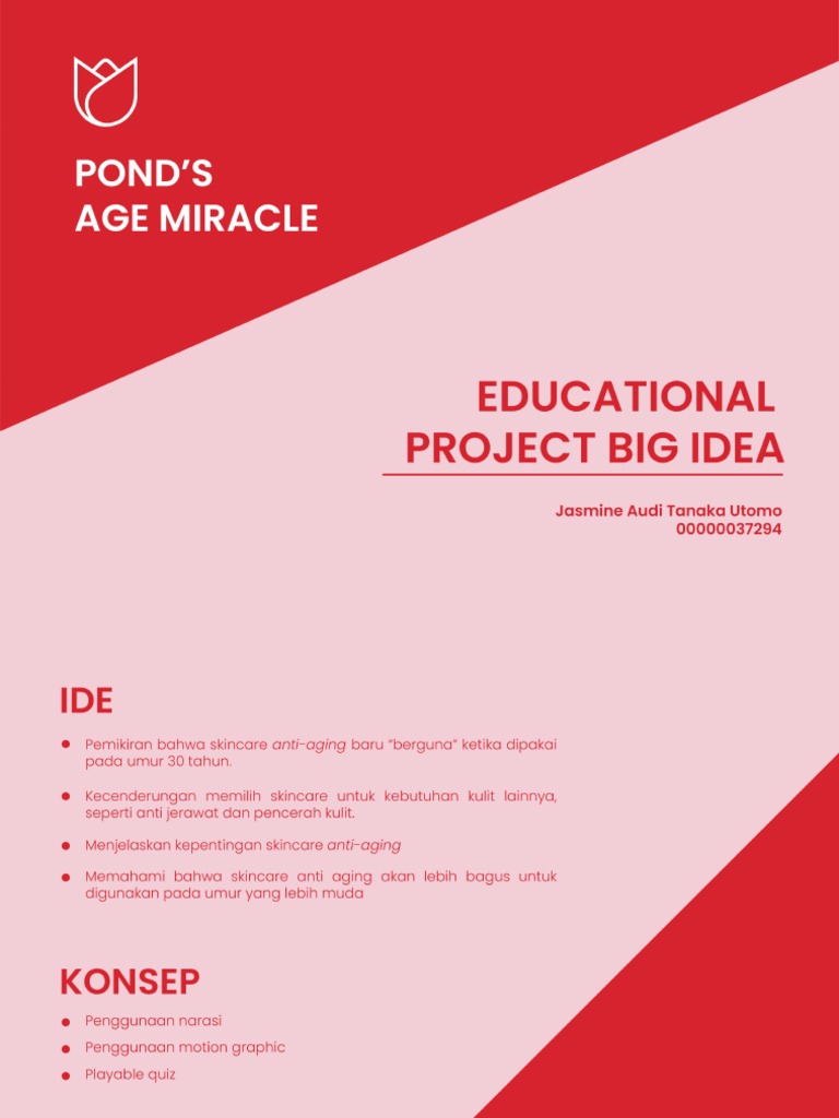 Big Idea | PDF
