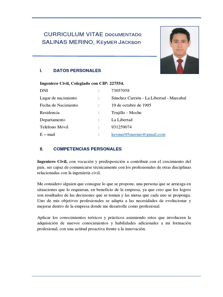 CV Documentado | PDF | Ingeniería