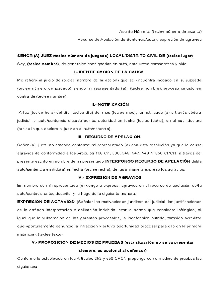 RECURSO DE APELACION DE AUTO- SENTENCIA Y EXPRESION DE AGRAVIOS | PDF | Sentencia (ley ...
